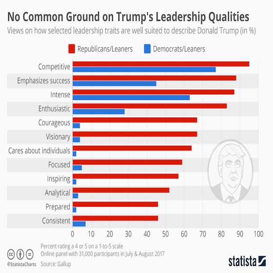 How People Perceive Trump | American Politics