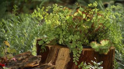 DIY Adirondack-Style Log Planters